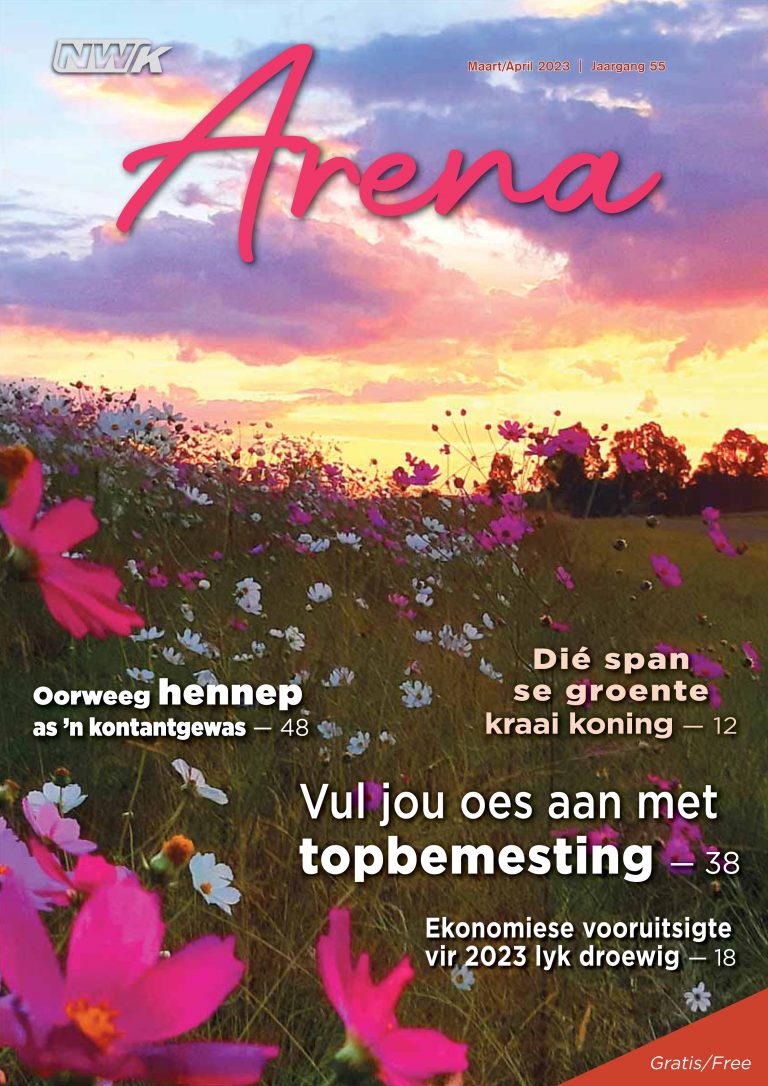 Heuningbye speel ’n groot rol in biodiversiteit - NWK Arena