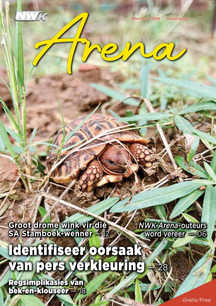 Voor- en nadele van alternatiewe energiebronne - NWK Arena